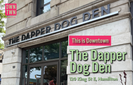 This is Downtown: The Dapper Dog Den - Downtown Hamilton: Business Improvement Area (BIA)